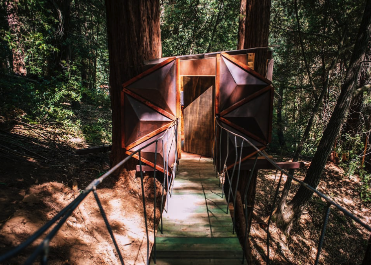 The Pinecone Treehouse Offers 360 Degree Views of the Forest's Canopy
