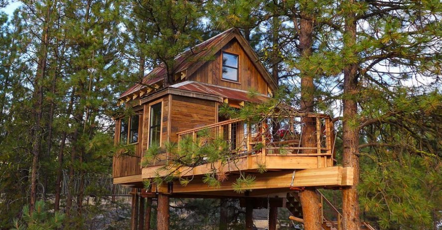 A Quaint Little Tree House in A Grove of Ponderosa Pines