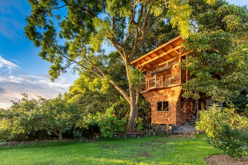 Take A Peek Inside This Luxury Treehouse with Ocean View In Hawaii
