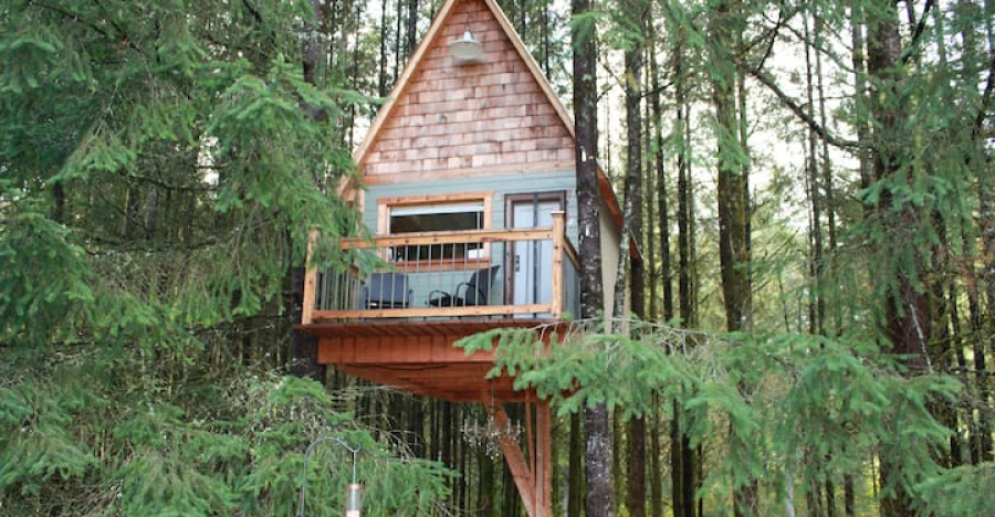 Cozy All Seasons Tree House Retreat in Washington, United States