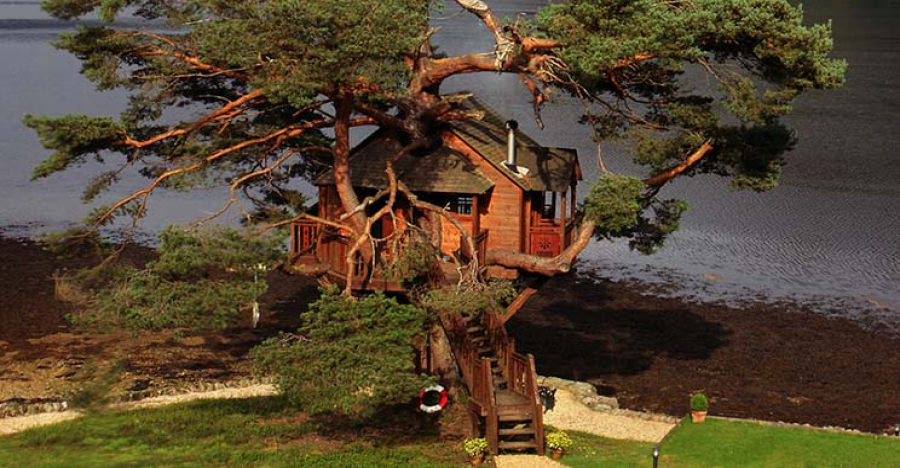 Enchanting Treehouse Sets The Perfect Scene For A Unique Celebration
