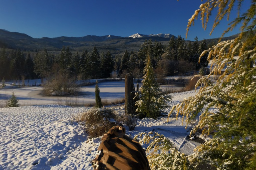 Peek Inside This 398 Sqft Rustic Cabin In Sequim, Washington