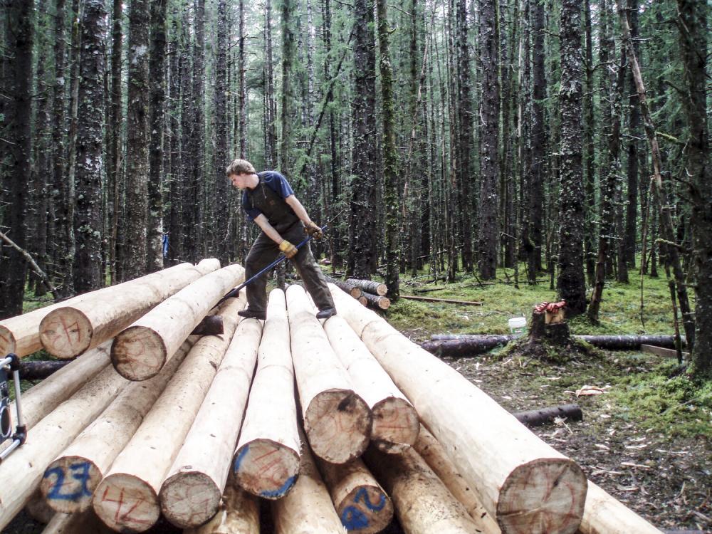 You Must See This Gorgeous Alaskan Log Home!